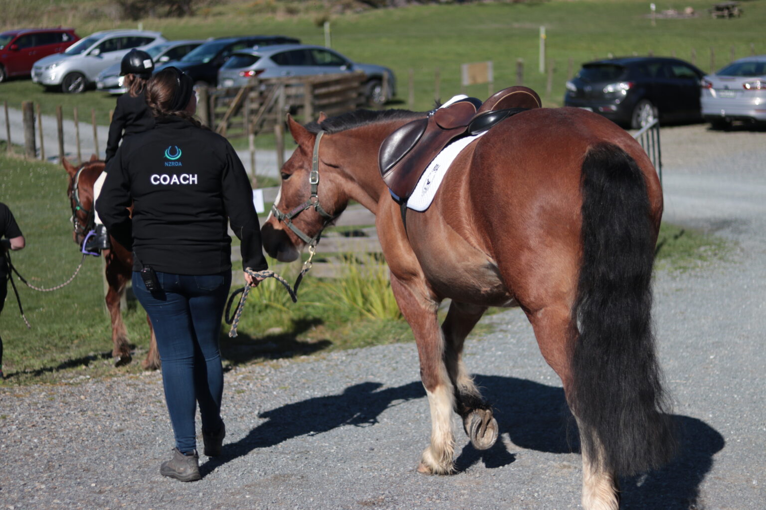 About The Qualifications – New Zealand Riding for the Disabled