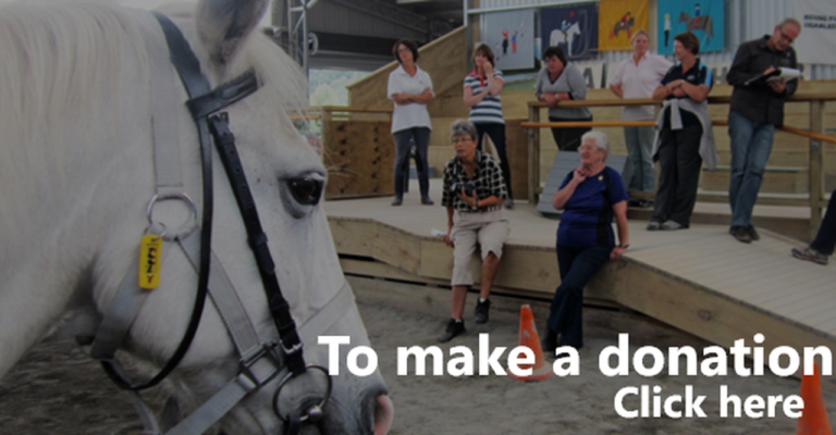Home - New Zealand Riding for the Disabled
