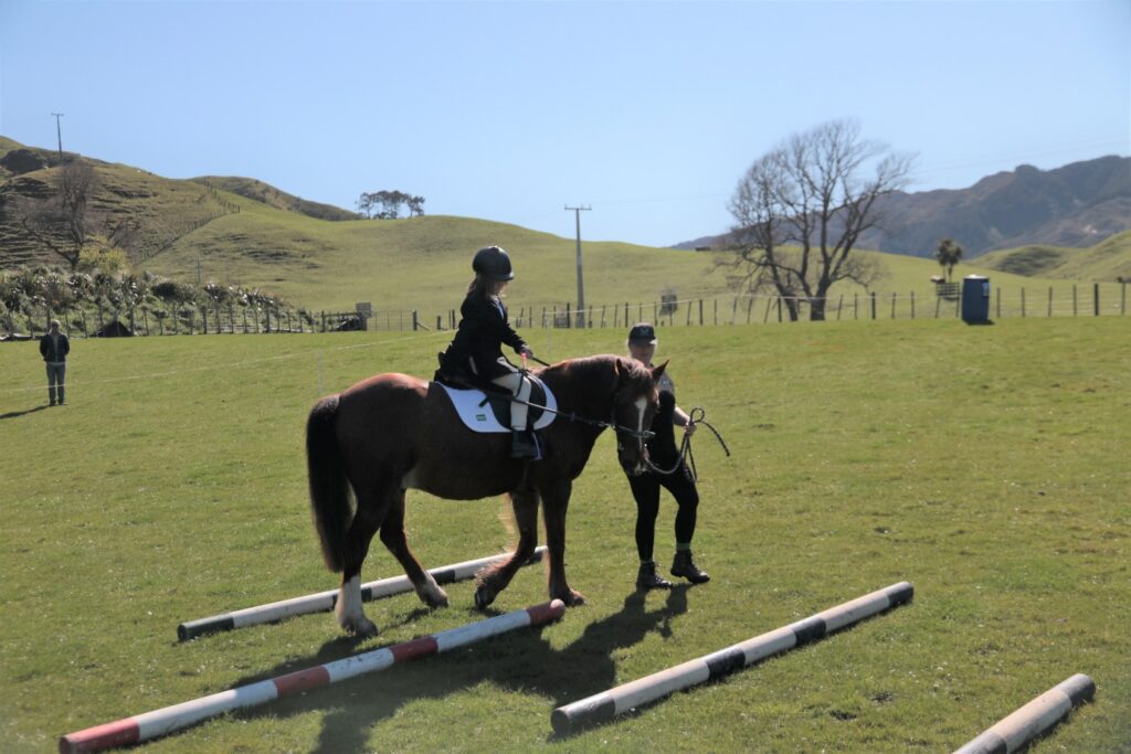 New Volunteers – New Zealand Riding for the Disabled