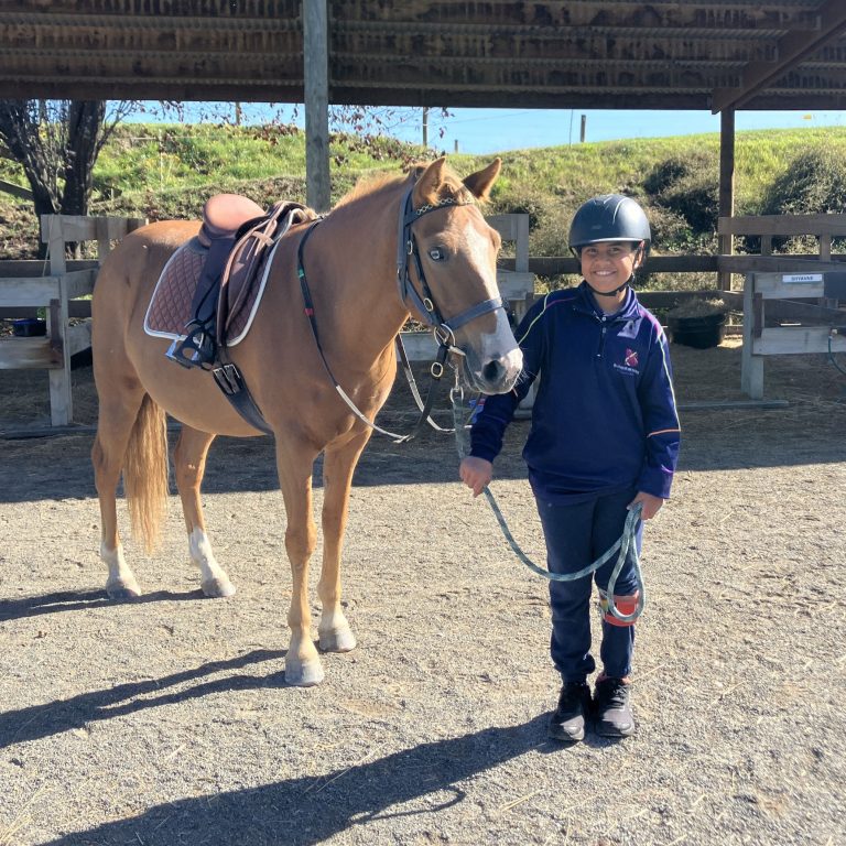 Home - New Zealand Riding for the Disabled