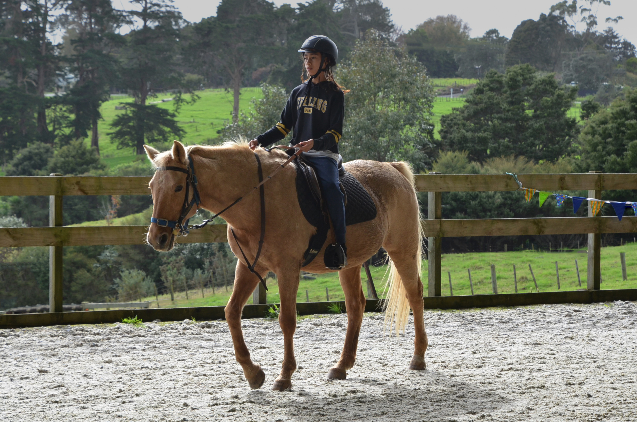 Home - New Zealand Riding for the Disabled